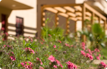 Jardinería Málaga - Norgarden